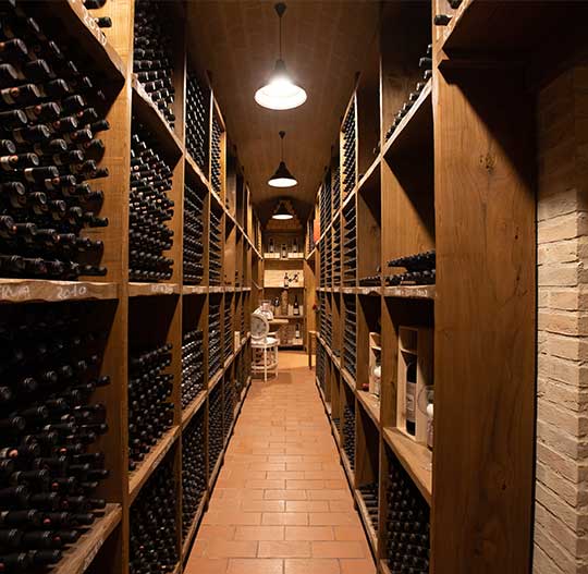Wine Cellar Lights | Buy Wine Cellar Lighting Fixtures & LED Lights ...