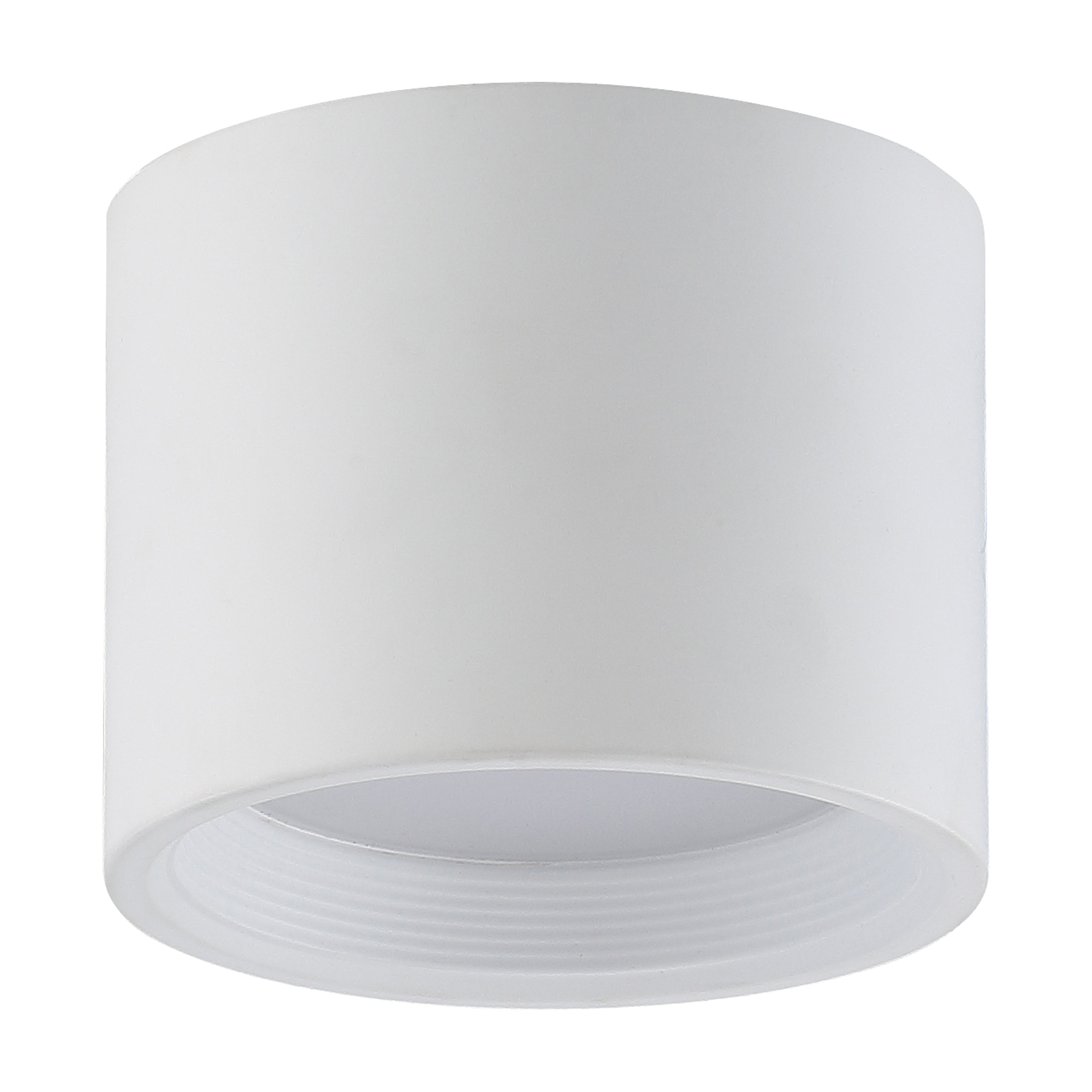 Dual Voltage LED Flush Mount Ceiling Light, 1200 Lumens, 15W, 3000K ...