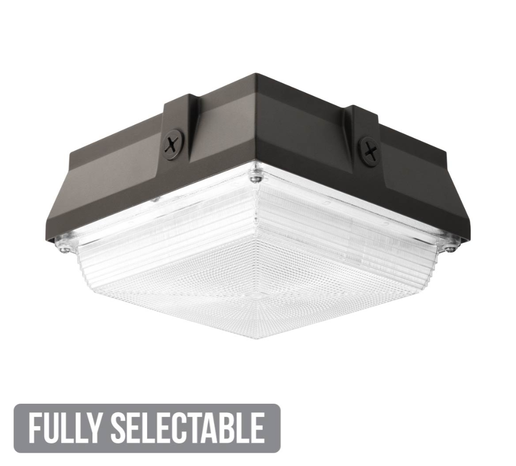Classic 8" Vandal Canopy Light, 4,567 Lumen Max, Wattage and CCT ...