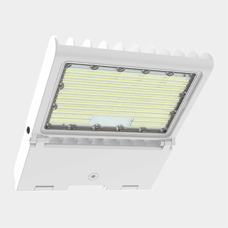 LED High Lumen Flood Light, Selectable Wattage and CCT, White, 120-277V ...